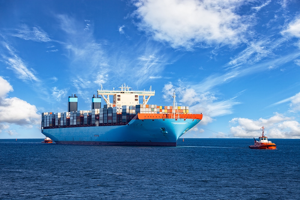 What Is The Difference Between IMO And MMSI 