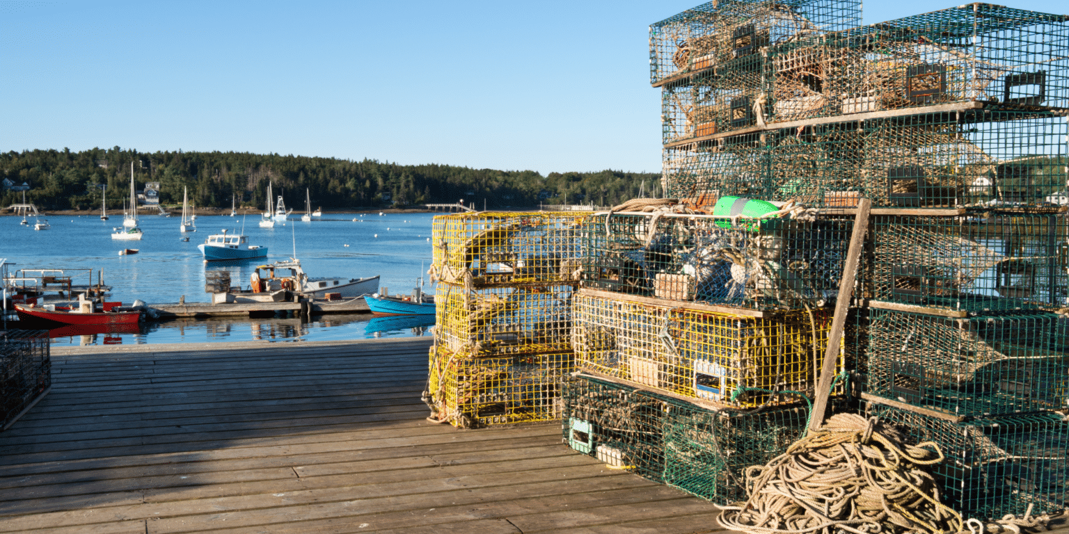 Who are the main actors in the fishing industry?