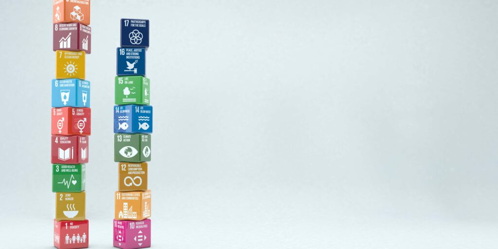 Exploring the Link Between Sustainable Development Goals and the Sea