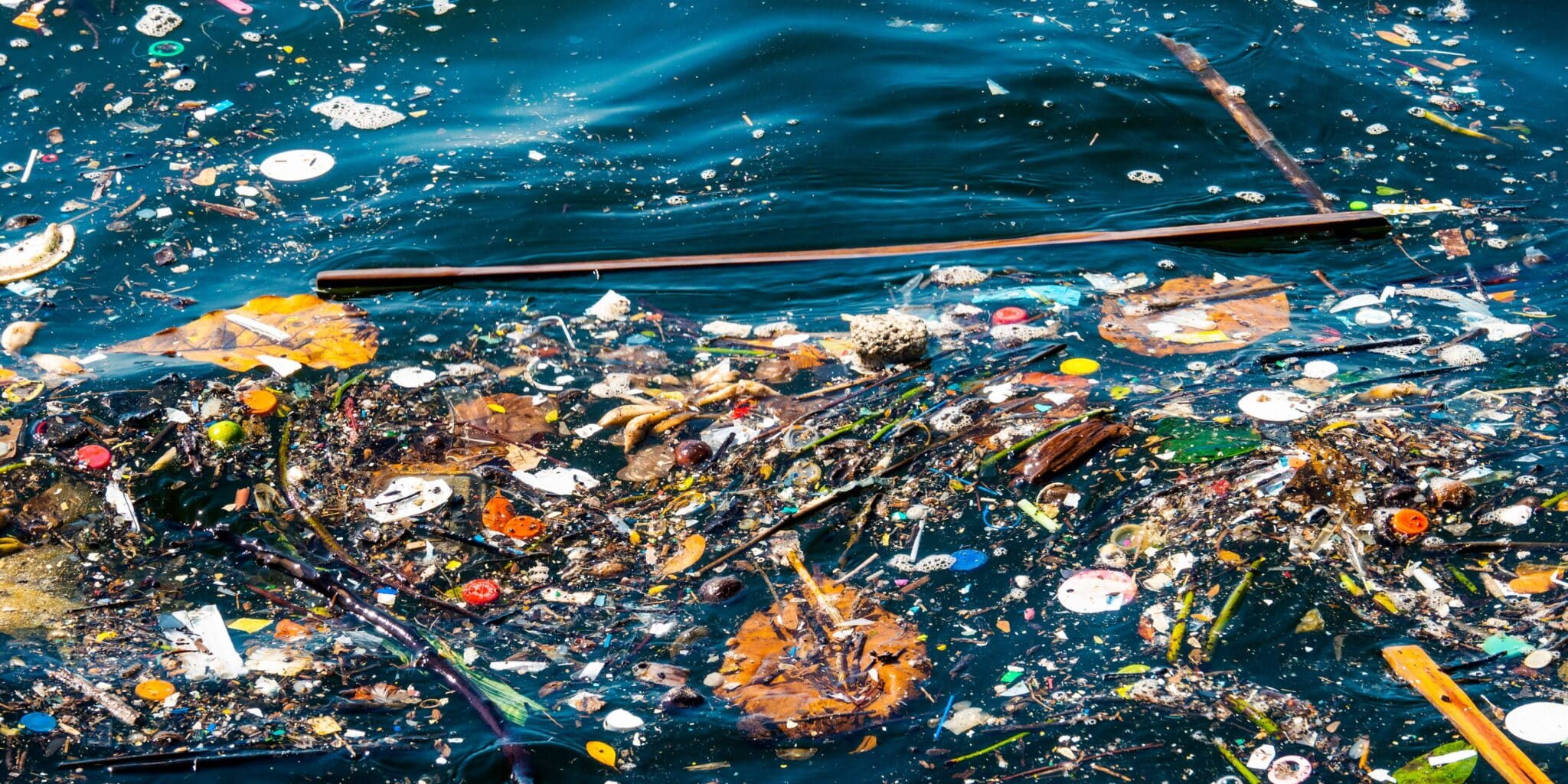 Navigating Sustainability: The Top Maritime Companies Aligned with SDGs