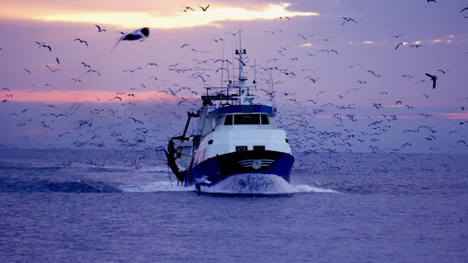 Top 10 Best Vessel Tracking Solutions for Ocean Freight