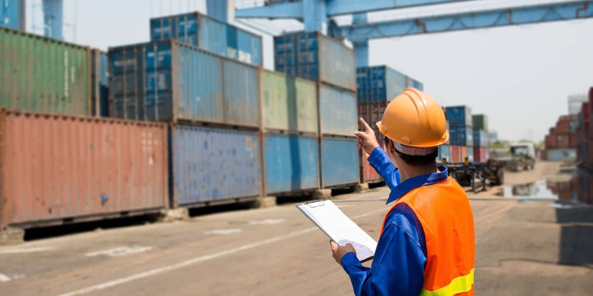 Unveiling the Influence of Transshipment on Transit Types and Reliability