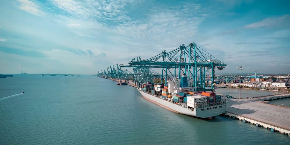 Unveiling the Influence of Transshipment on Transit Types and Reliability