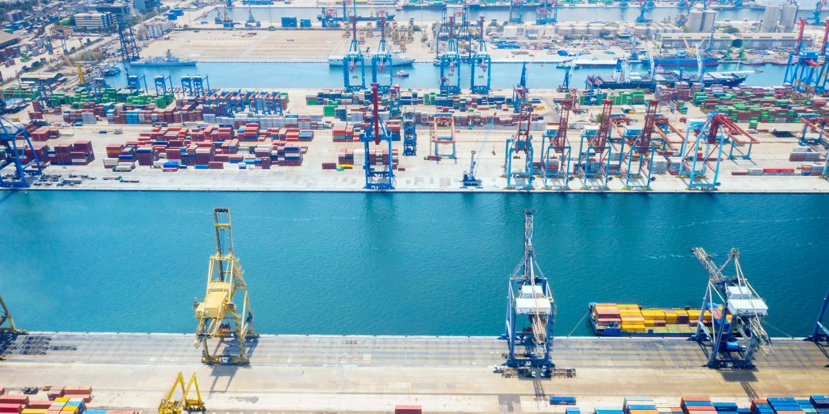 Unveiling the Influence of Transshipment on Transit Types and Reliability