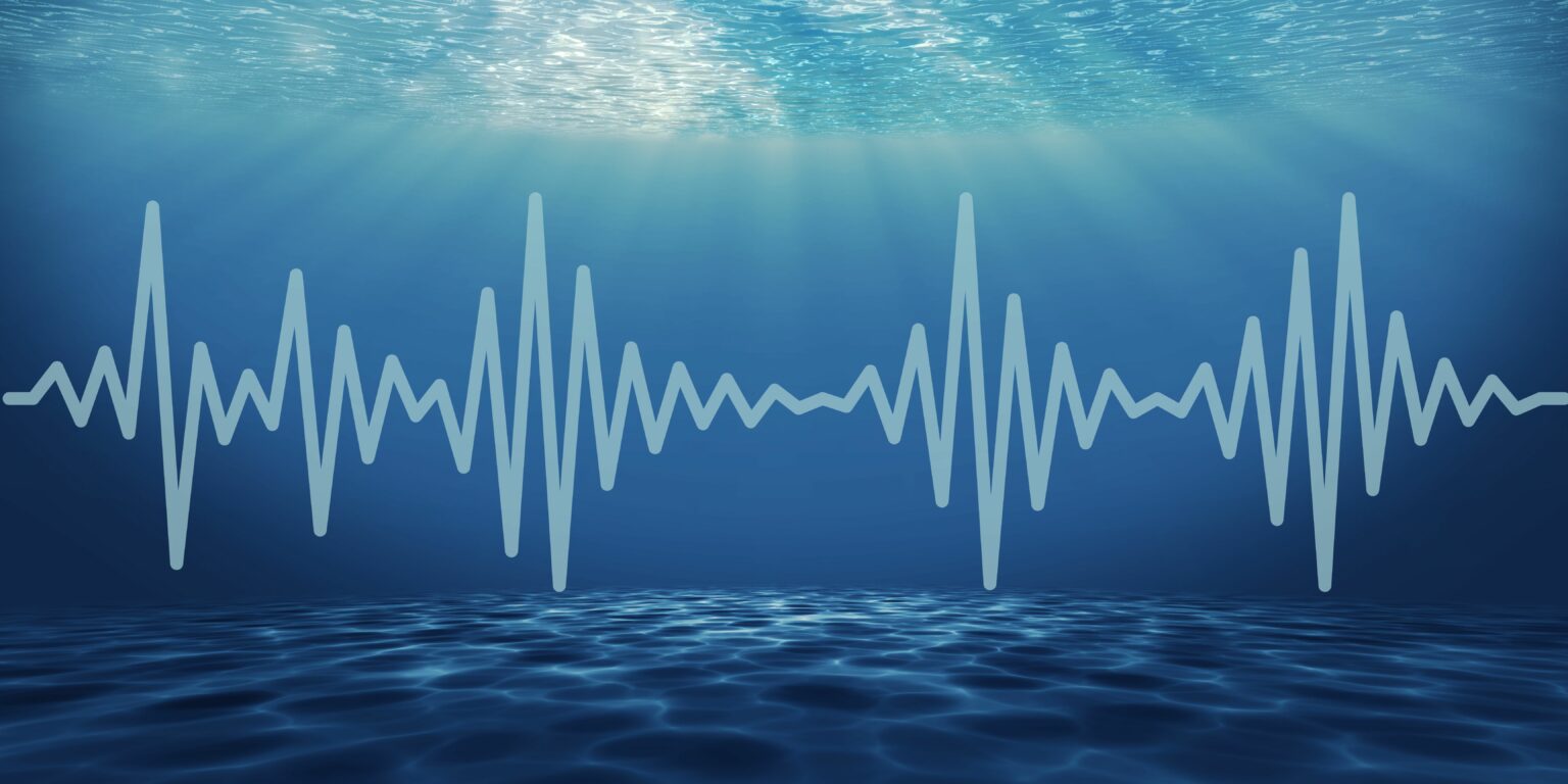 The Future of Underwater Acoustics: Trends in Sustainable Monitoring