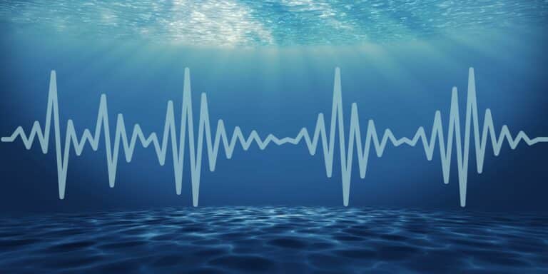 The Future of Underwater Acoustics: Trends in Sustainable Monitoring