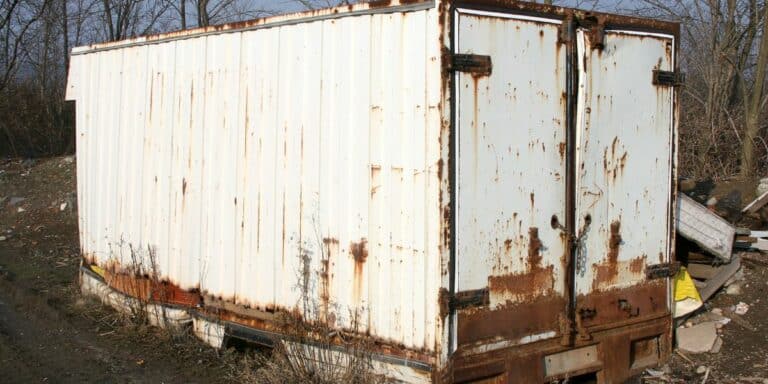 Evolution of Container Shipping: From Conception to Mega-Ships and Beyond