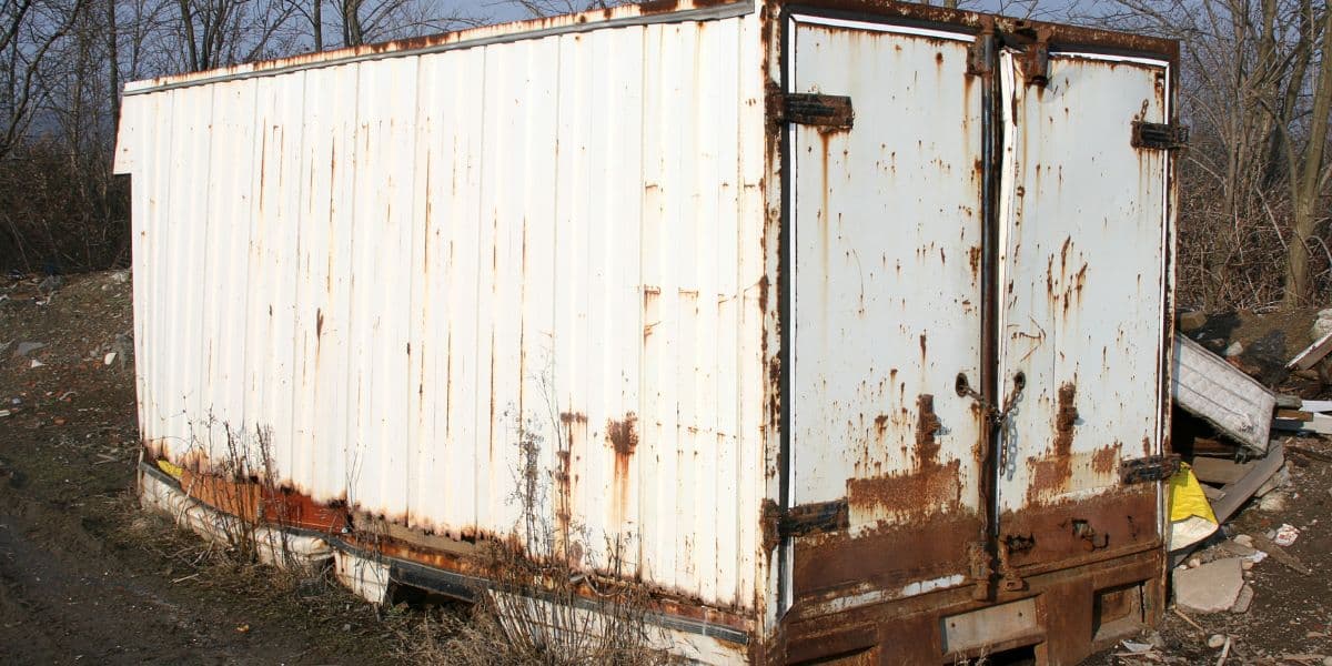 Evolution of Container Shipping: From Conception to Mega-Ships and Beyond