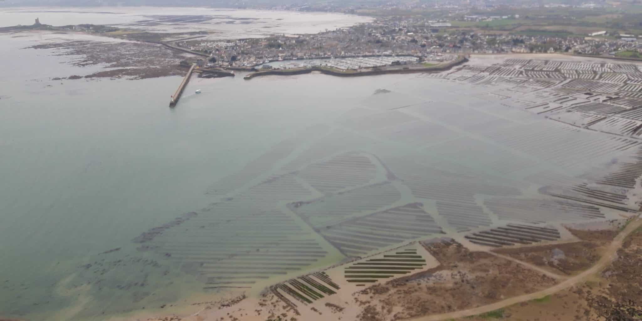 Insights into Marine Mammal Bycatch and Conservation Efforts