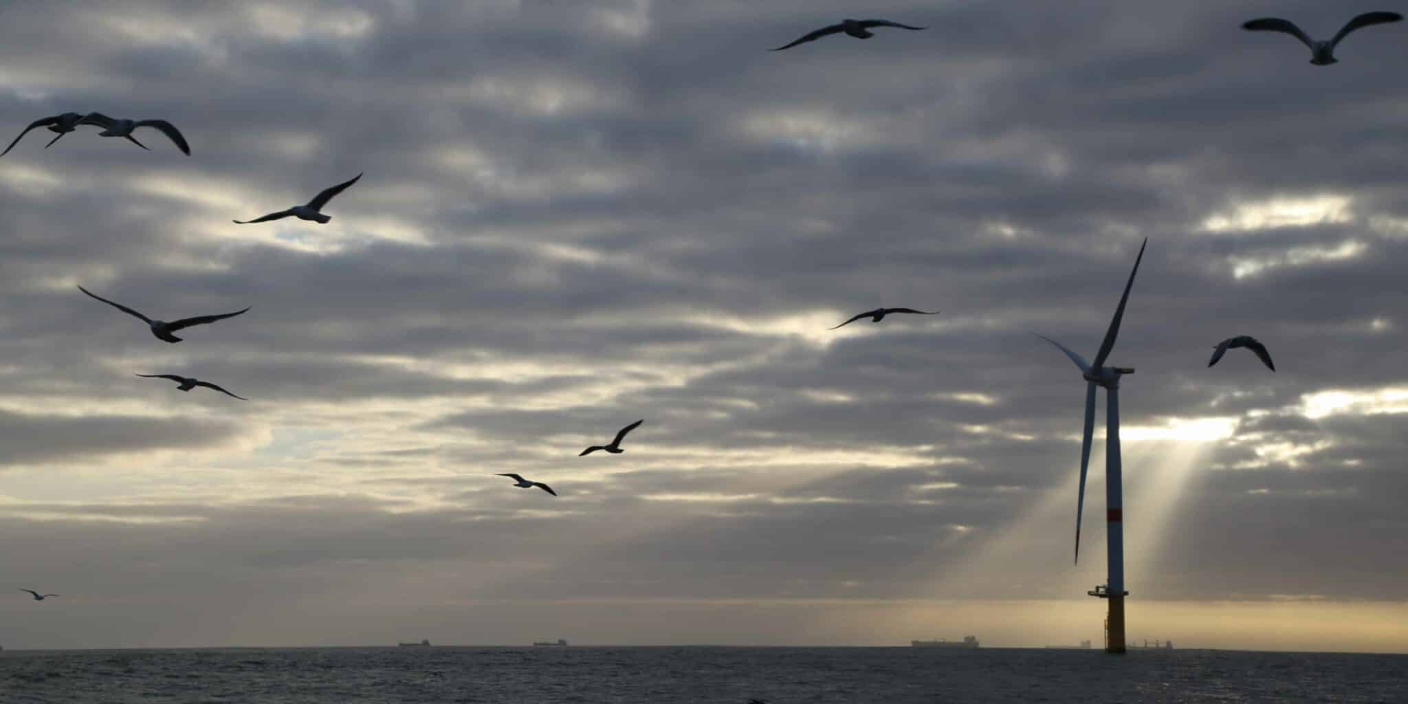 Exploring Major Wind Farm Projects Around the World | Wind Energy ...