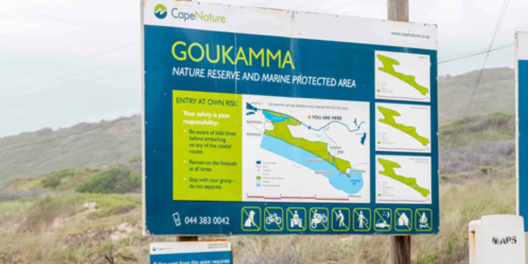 Preserving marine biodiversity: urgent conservation measures and ...