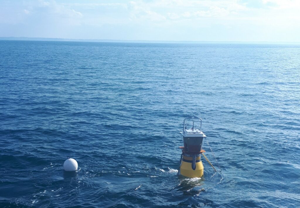 Comprehensive Guide To Passive Acoustic Monitoring Pam
