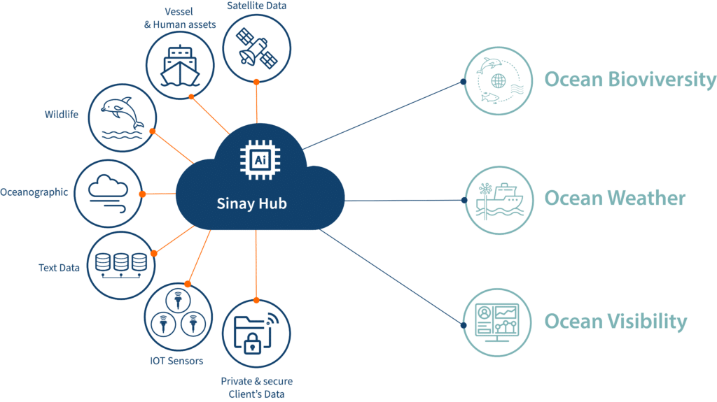 Expert Maritime Data Collection for Accurate & Reliable Insights