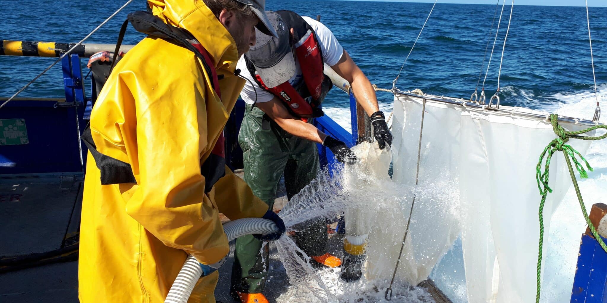 Citizen Science and PAM: Protecting Marine Life Together